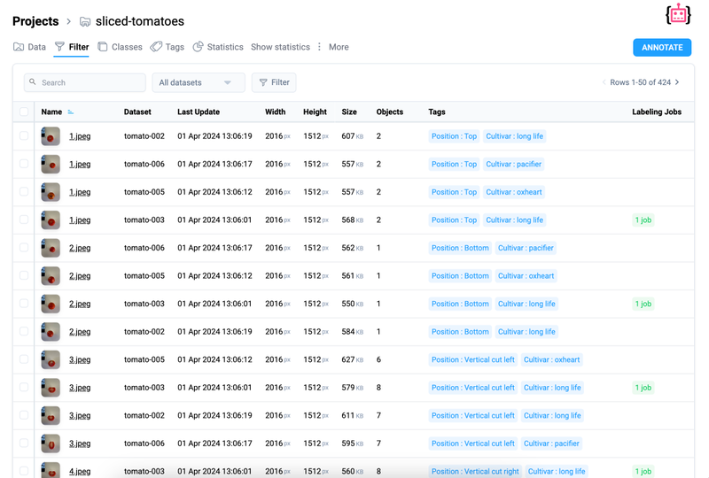 Introducing Advanced Dataset Filters For Efficient Data Management